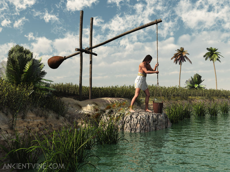 【shaduf】什么意思_英语shaduf的翻译_音标_读音_用法_例句_在线翻译_有道词典